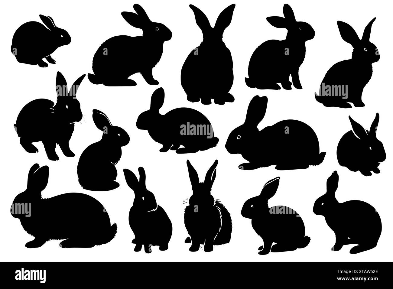 Isolated rabbit on white background, set of different rabbit ...