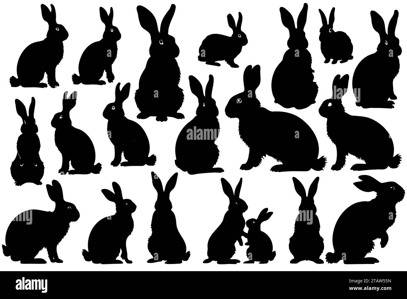 Isolated rabbit on white background, set of different rabbit ...