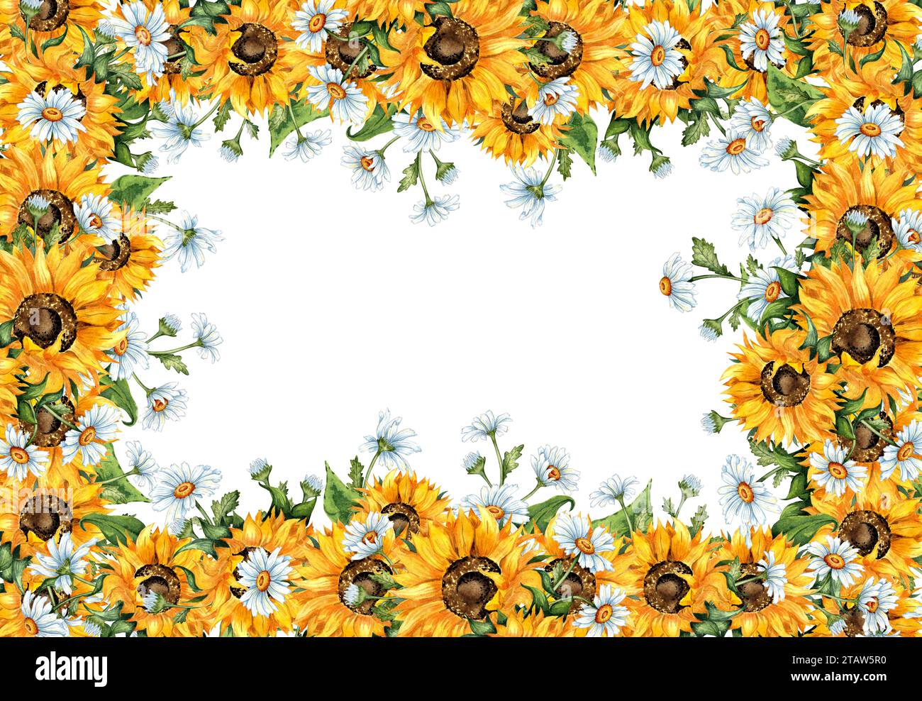 Watercolor illustration of a rectangular frame of yellow sunflowers and ...