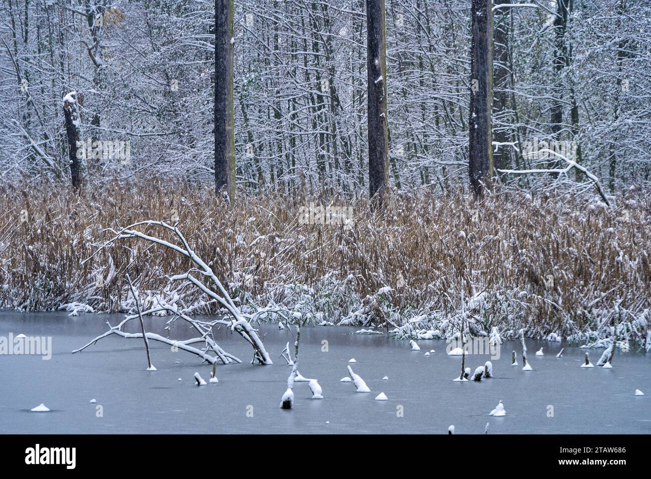 Winter landscape after the first snowfall Stock Photo - Alamy