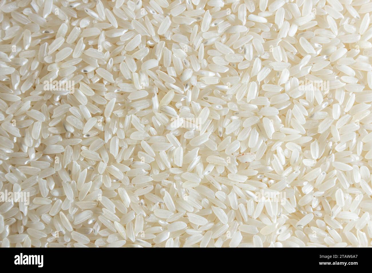 Dry Uncooked White Rice Background - Top View, Flat Lay. Scattered Raw ...