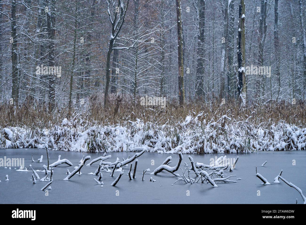 Winter landscape after the first snowfall Stock Photo - Alamy