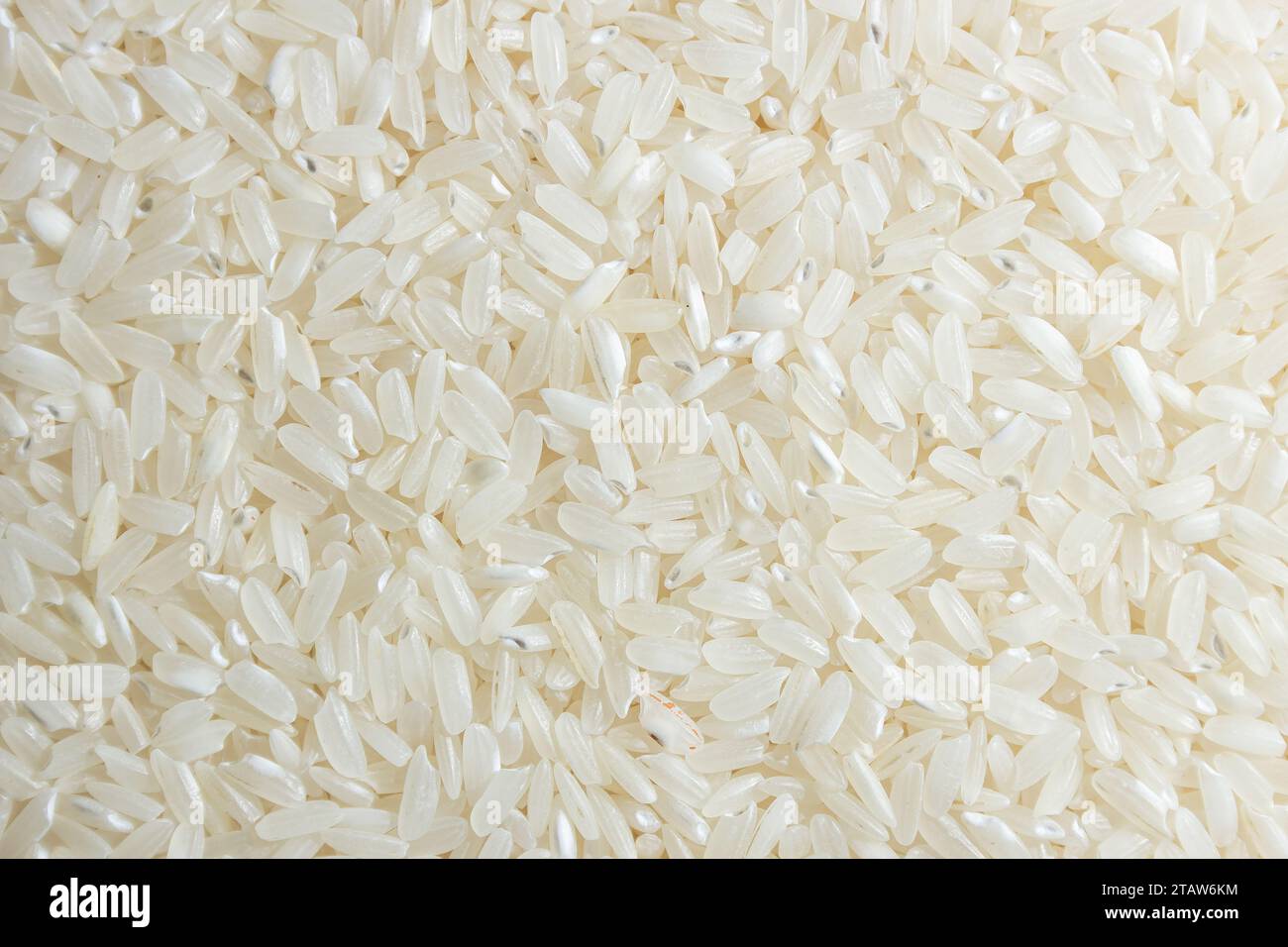 Dry Uncooked White Rice Background - Top View, Flat Lay. Scattered Raw ...
