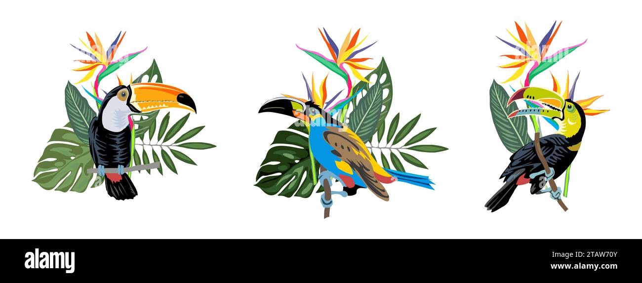 Tropical exotic clip art with leaves and toucans Stock Vector Image ...