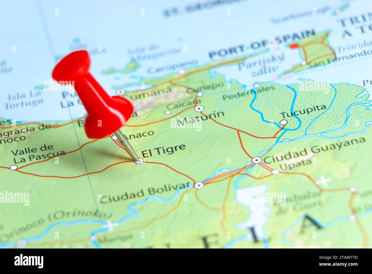 El tigre hi-res stock photography and images - Alamy