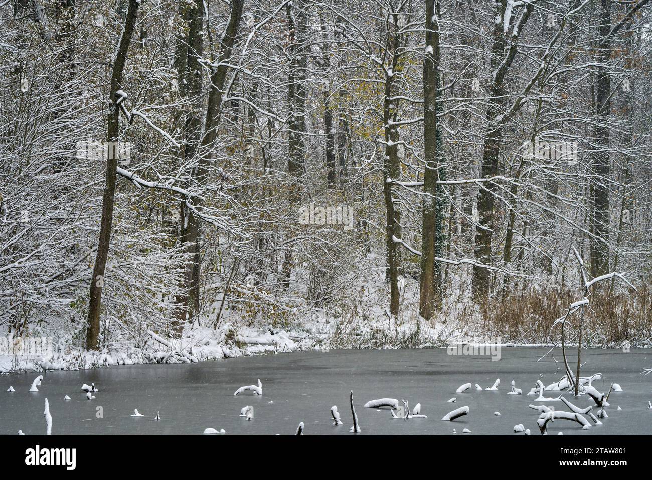Winter landscape after the first snowfall Stock Photo - Alamy