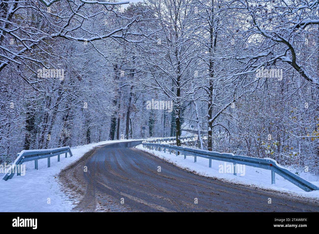 Winter landscape after the first snowfall Stock Photo - Alamy