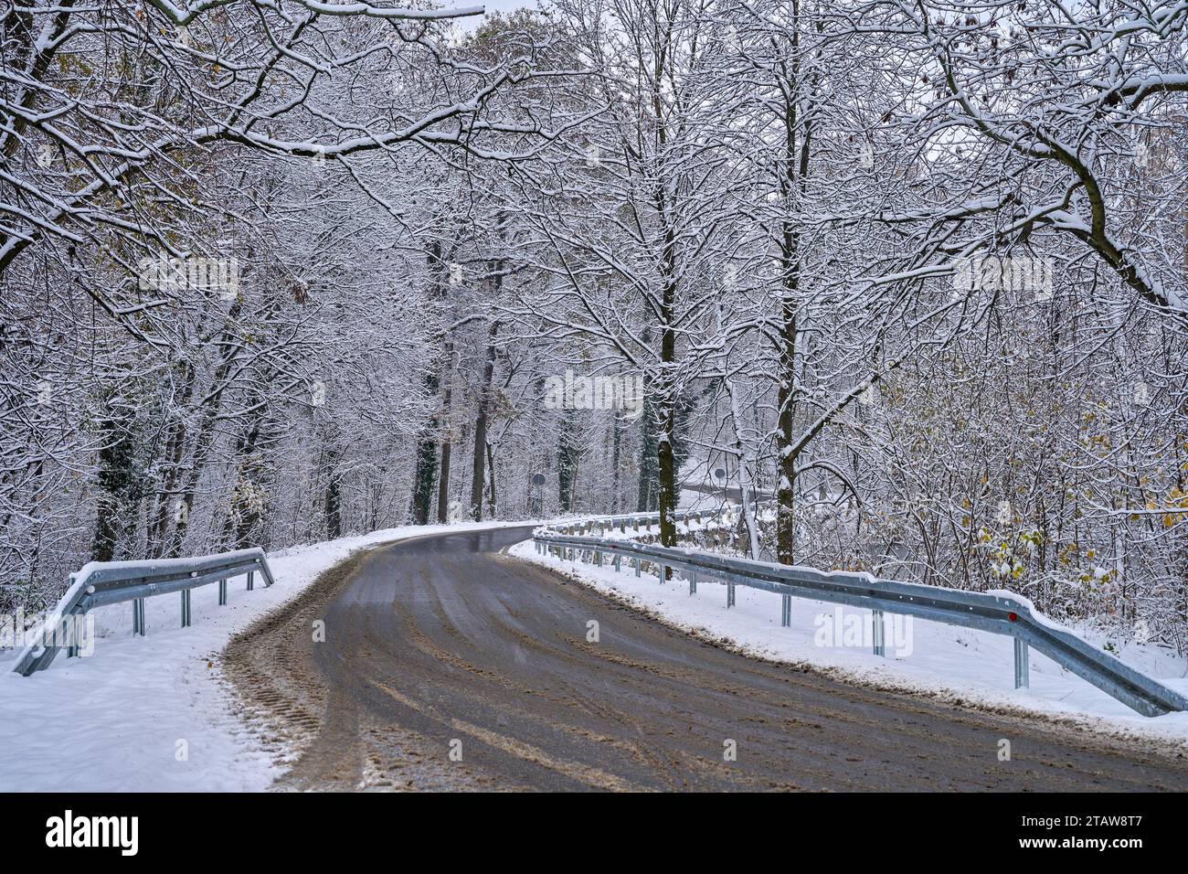 Winter landscape after the first snowfall Stock Photo - Alamy
