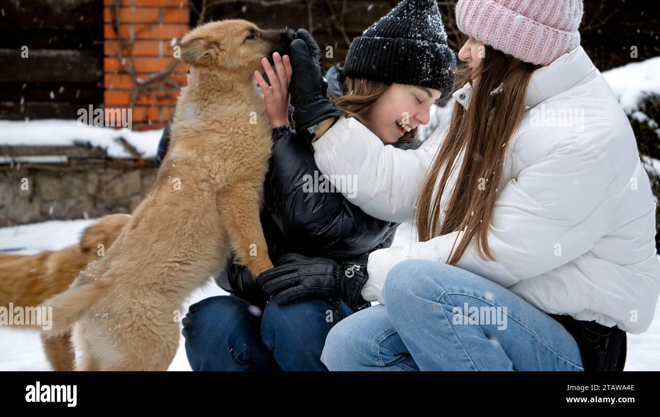 Two girls with dogs playing in snow during snowfall. Kids with animals ...