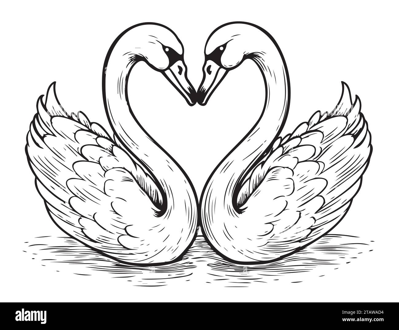 Two swans sketch. Hand drawn vector illustration Stock Vector Image ...