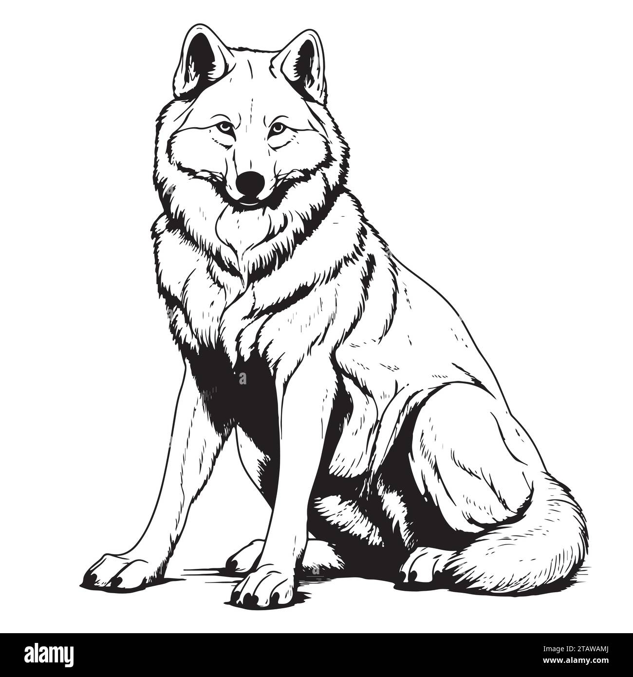 Cartoon wolf sitting hi-res stock photography and images - Alamy