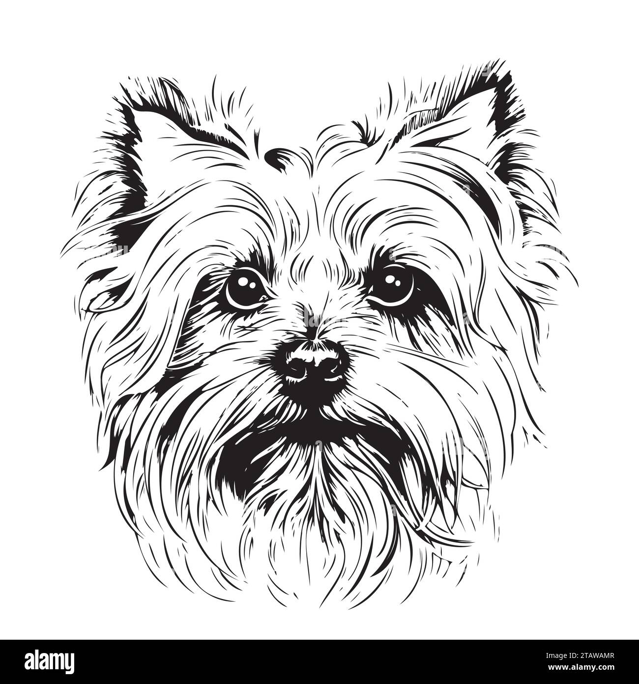 Portrait outline Black and White Stock Photos & Images - Alamy