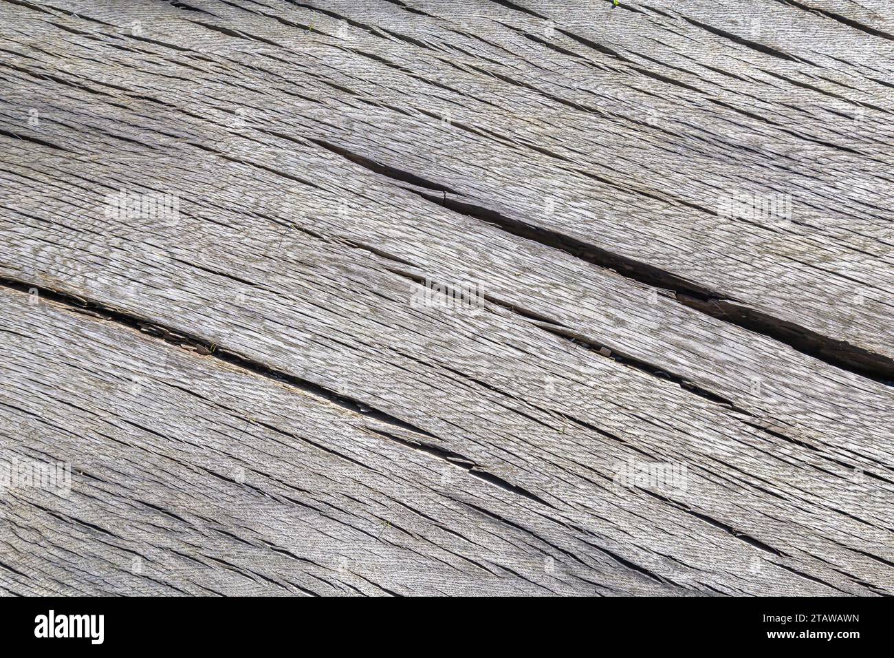 Core sample of wood hi-res stock photography and images - Alamy