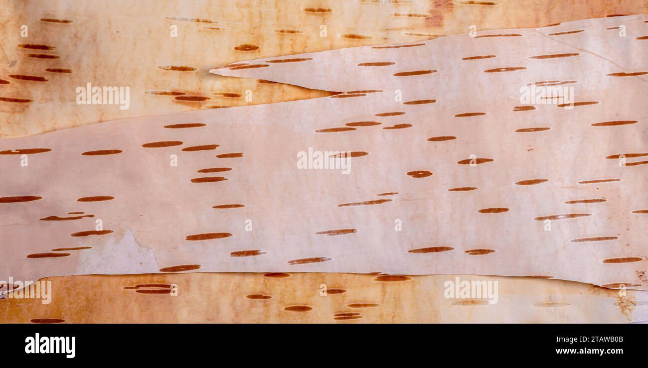 Photography background design hi-res stock photography and images - Alamy