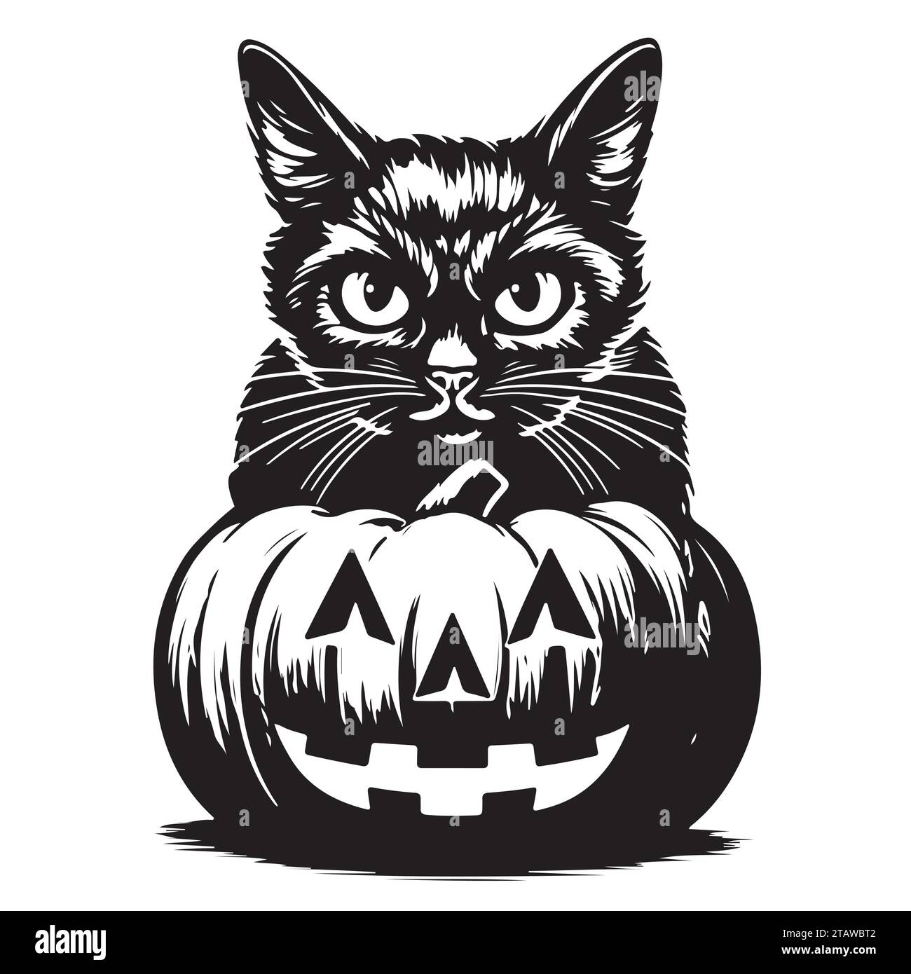 Black cat sitting with halloween pumpkin isolated over white background ...