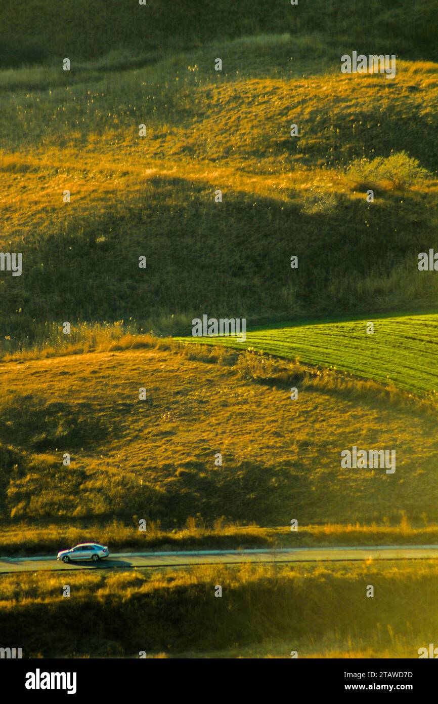 Colorful land, waves of grass and trees, warm light shinning over the ...