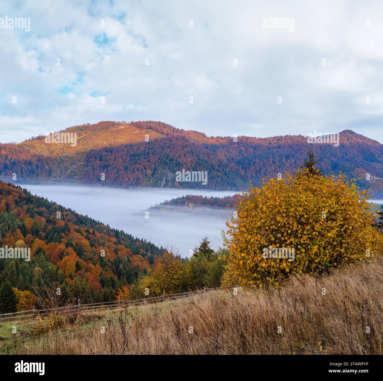 Cloudy and foggy autumn mountain early morning pre sunrise scene ...