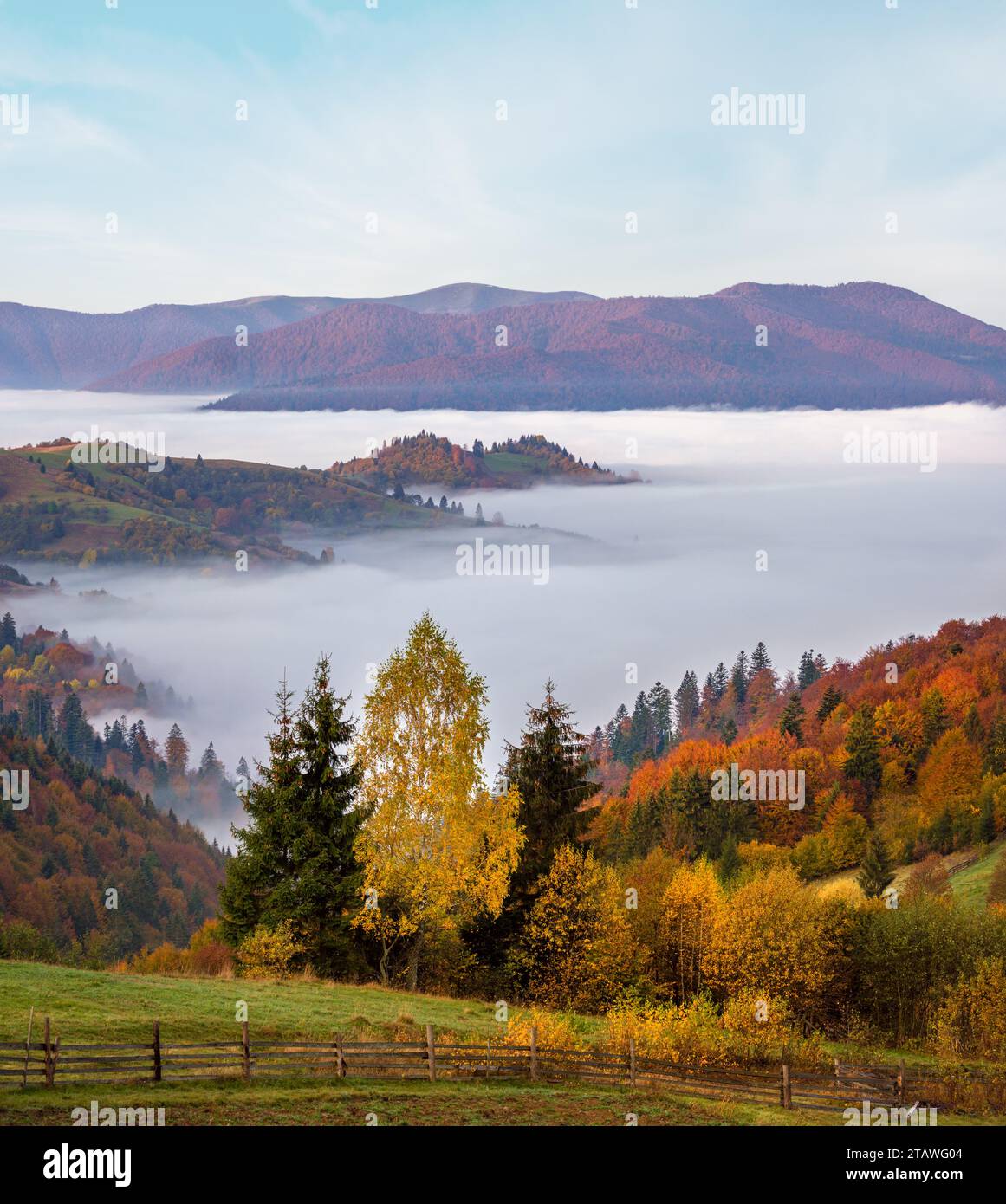 Cloudy and foggy autumn mountain early morning pre sunrise scene ...