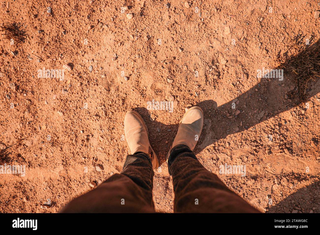 Point-of-view shot of a hiker man's feet in the forest Stock Photo - Alamy