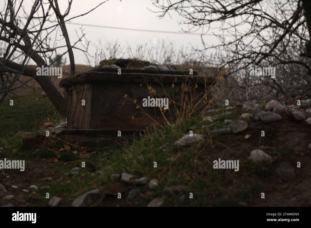 Graveyard in a green environment, with an Arabic sentence written on ...