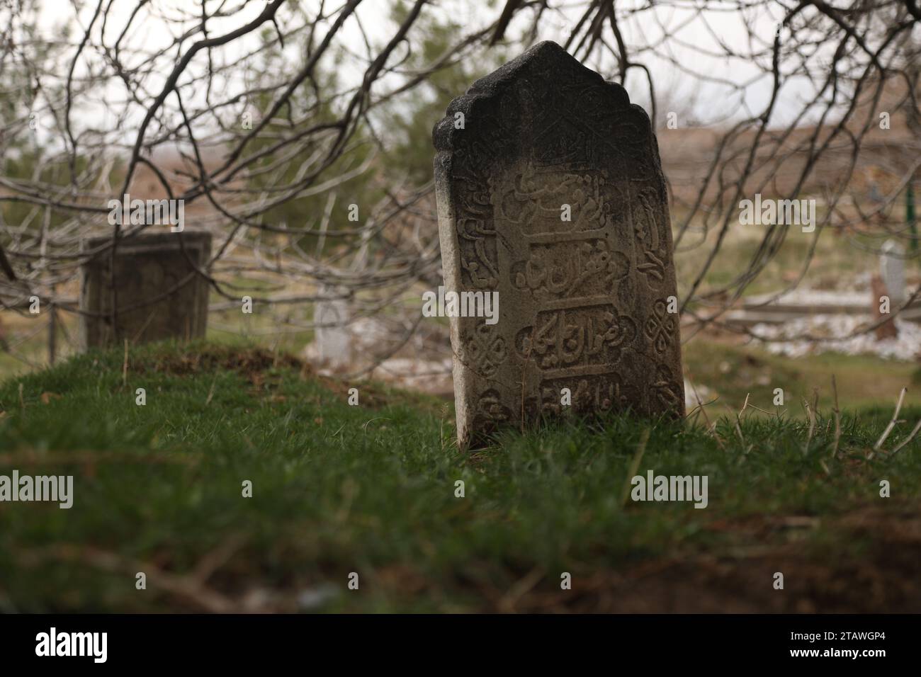 Graveyard in a green environment, with an Arabic sentence written on ...
