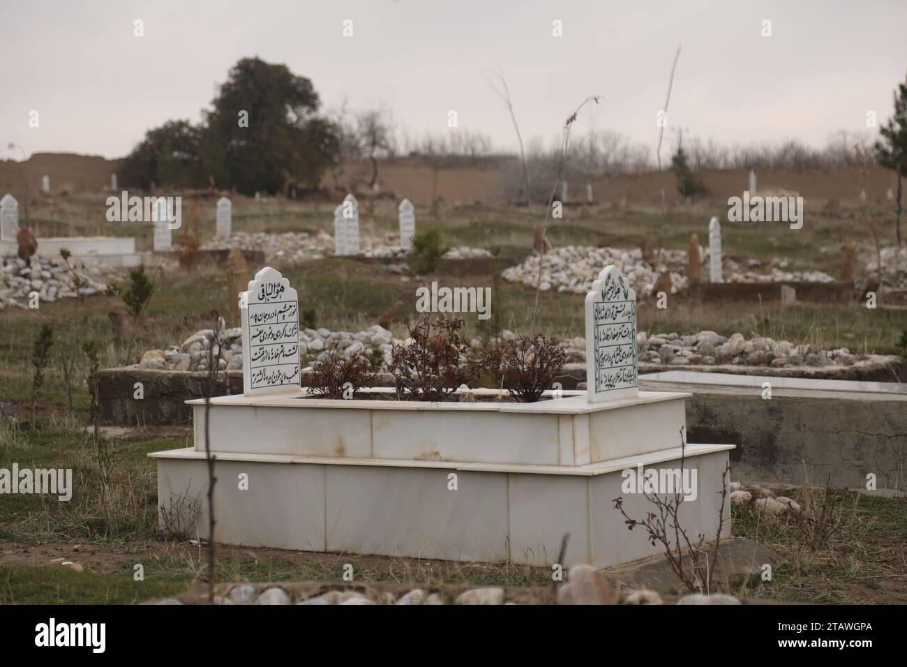 Graveyard in a green environment, with an Arabic sentence written on ...