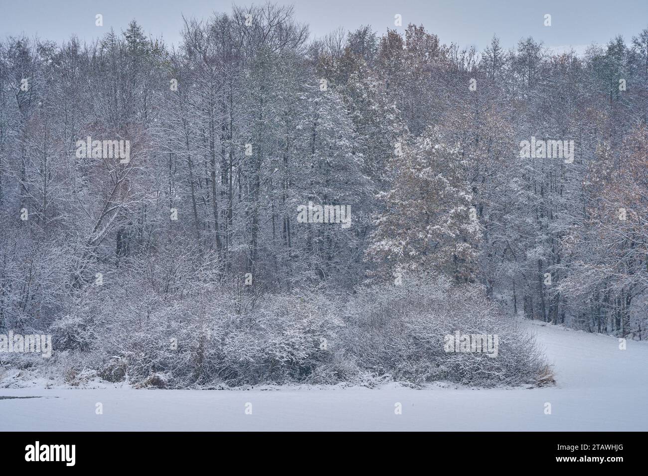 Winter landscape after the first snowfall Stock Photo - Alamy