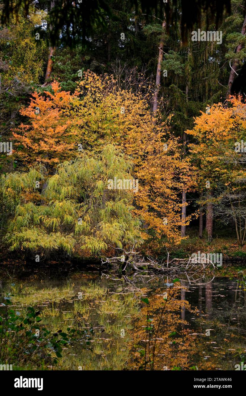 Whether sea, lake or river, water is one of the most beautiful elements ...