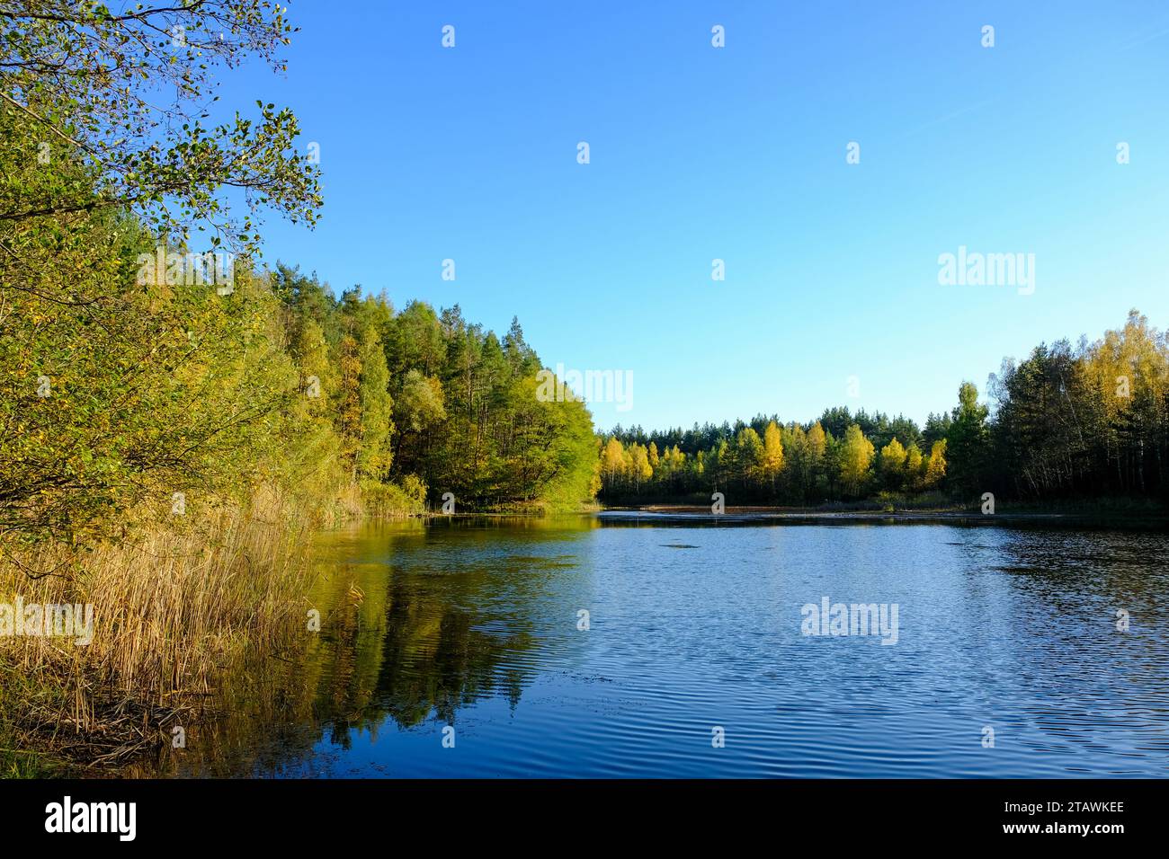 Whether sea, lake or river, water is one of the most beautiful elements ...