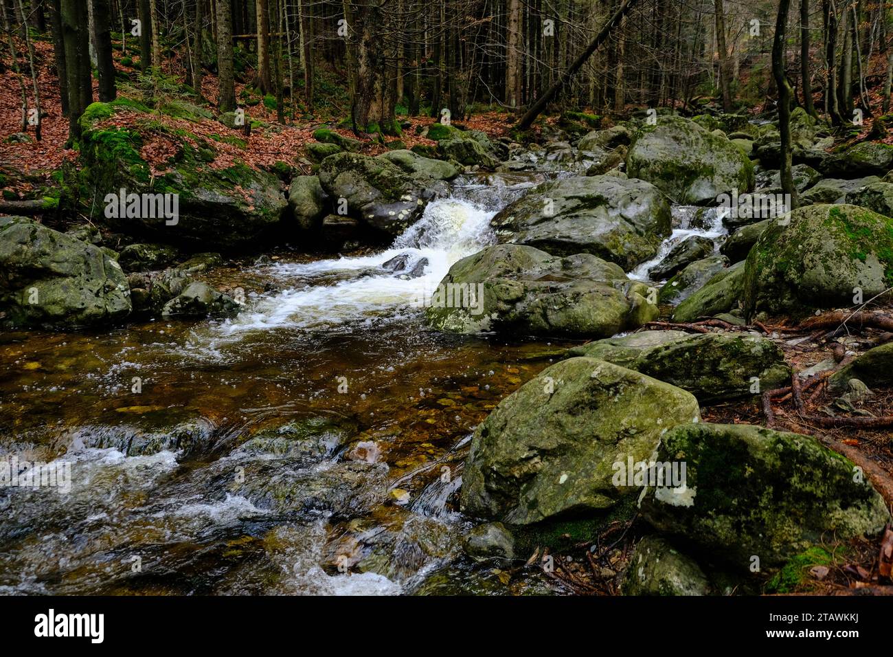 Whether sea, lake or river, water is one of the most beautiful elements ...