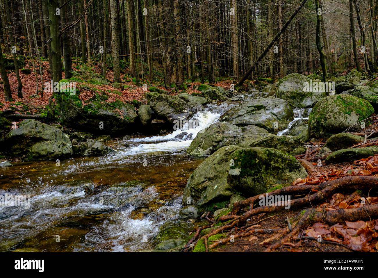 Whether sea, lake or river, water is one of the most beautiful elements ...