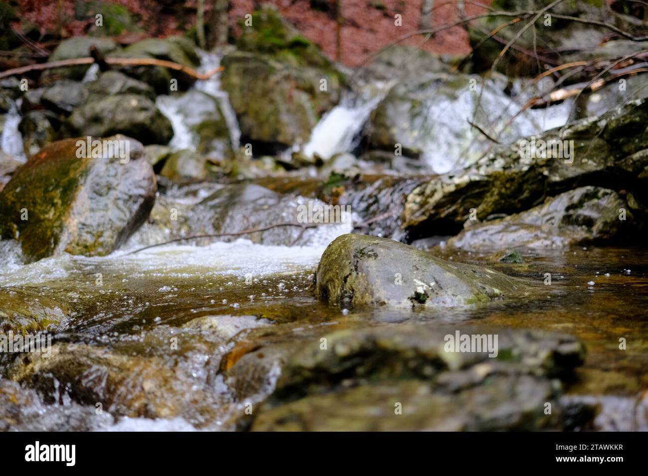 Whether sea, lake or river, water is one of the most beautiful elements ...