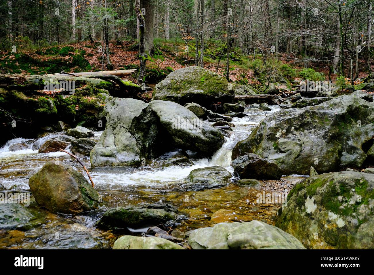 Whether sea, lake or river, water is one of the most beautiful elements ...