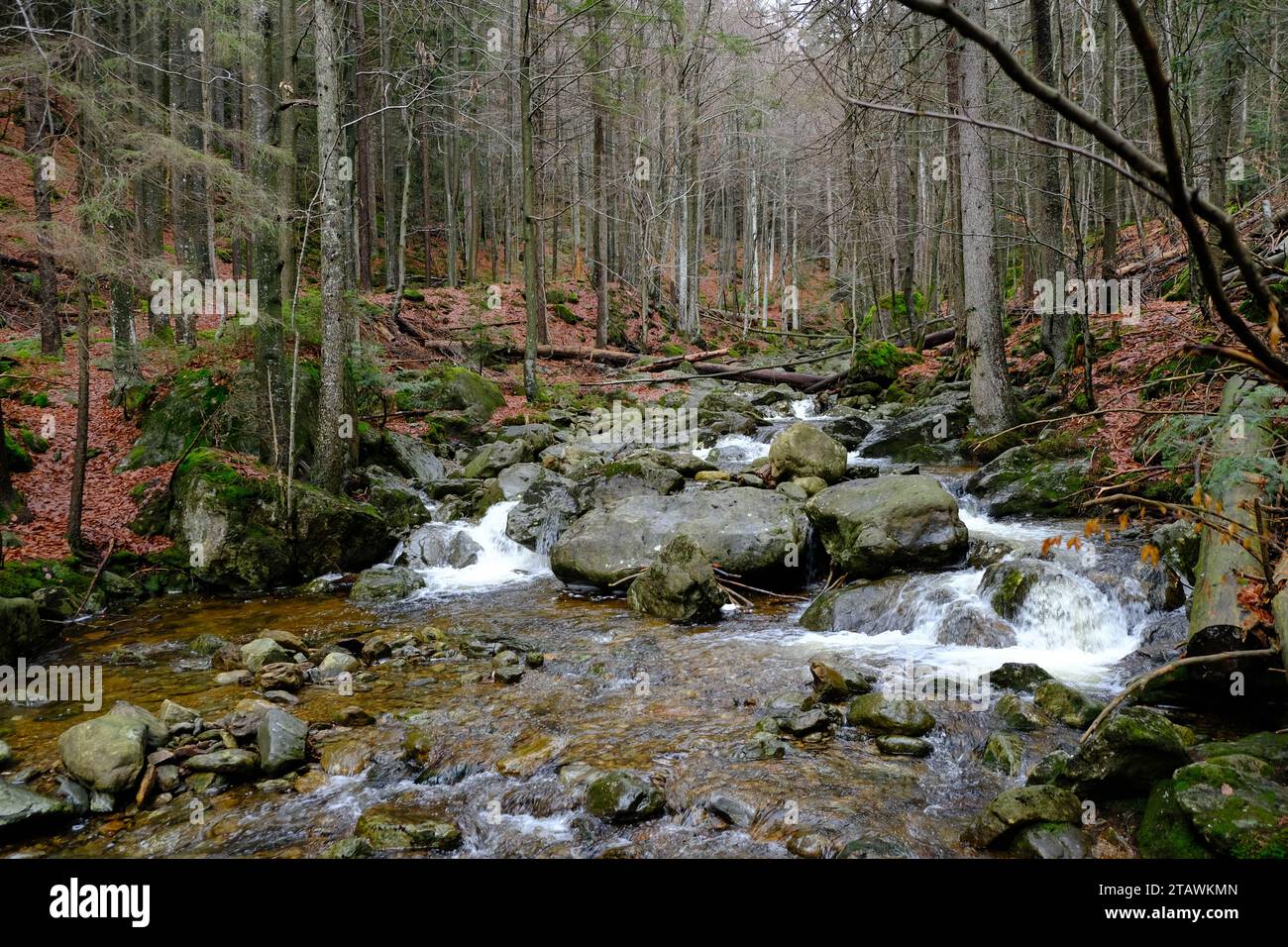 Whether sea, lake or river, water is one of the most beautiful elements ...