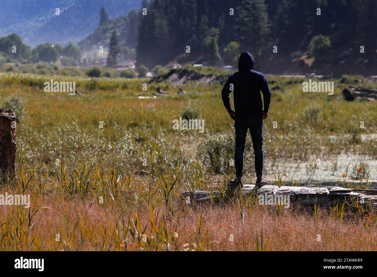An unknown young man with a hoodie shot from the back Stock Photo - Alamy