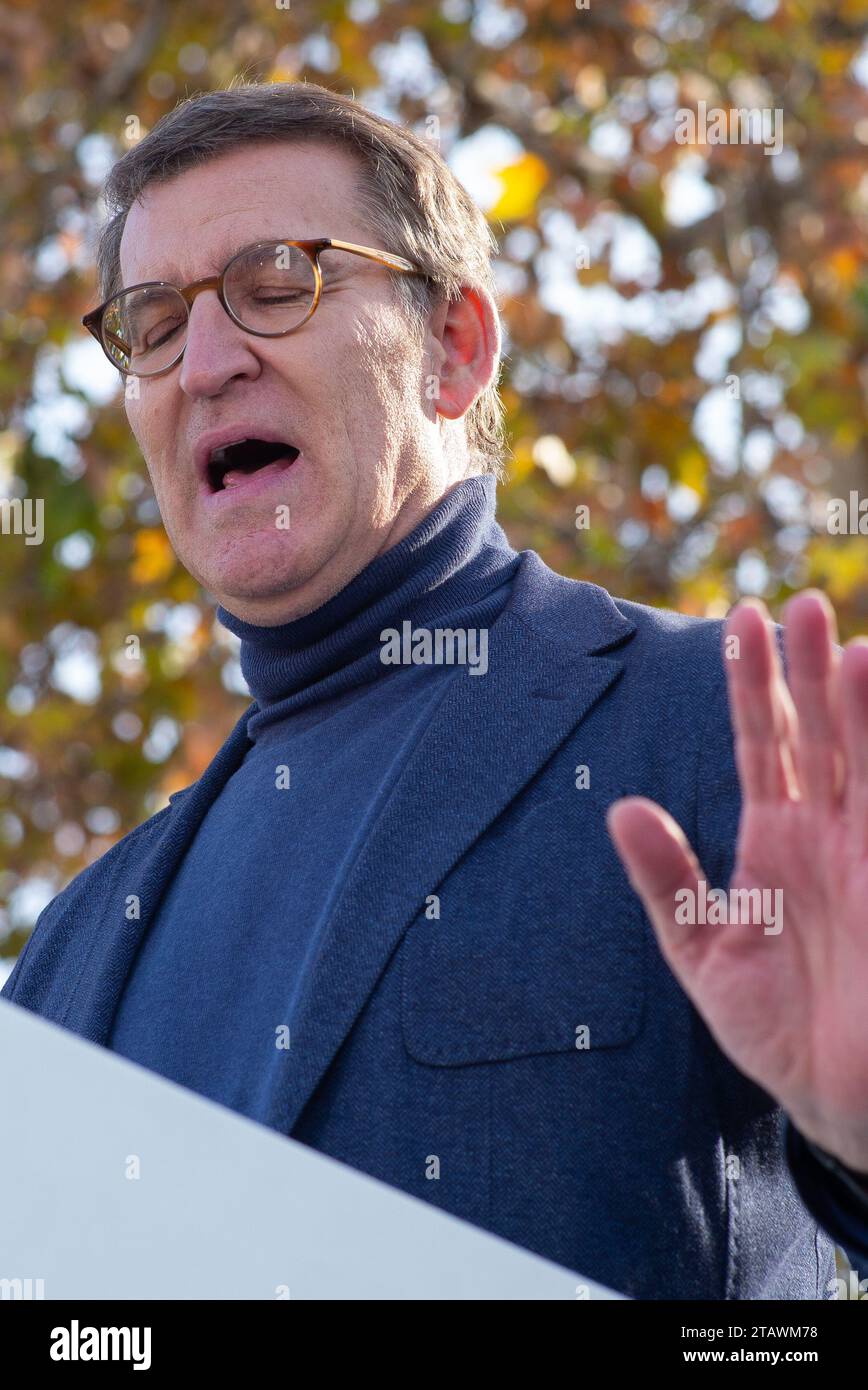 Alberto Nunez Feijoo during a demonstration against the amnesty for ...