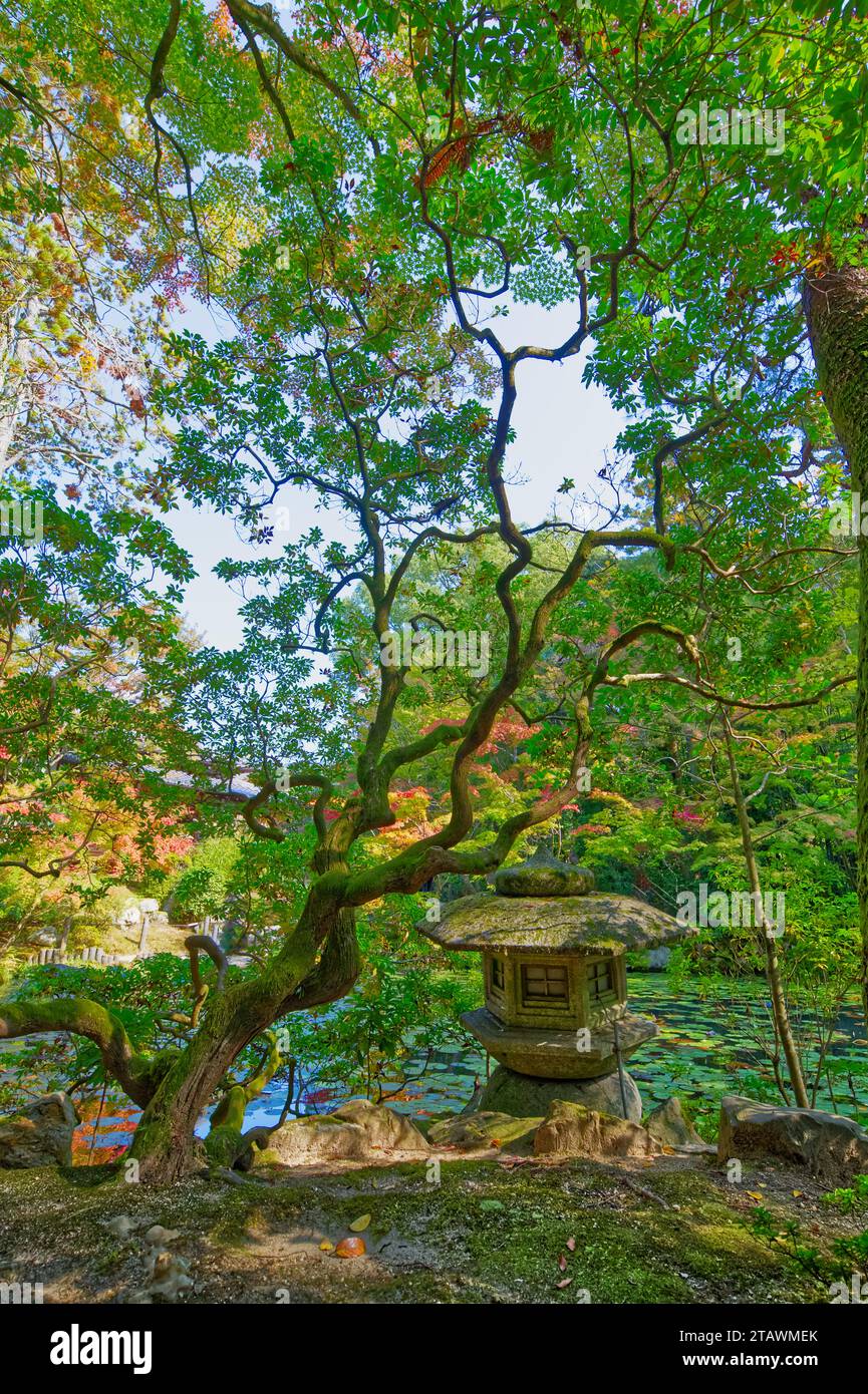 Japanese stone lanterne in the park against the pond water and the ...