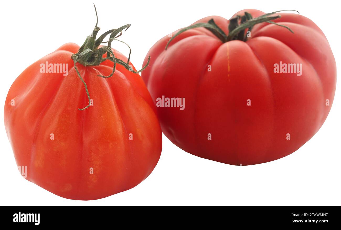 Fresh tomatoes whole half Cut Out Stock Images & Pictures - Alamy