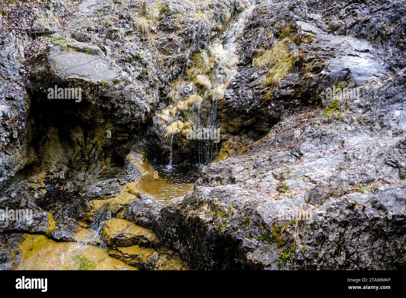 Whether sea, lake or river, water is one of the most beautiful elements ...