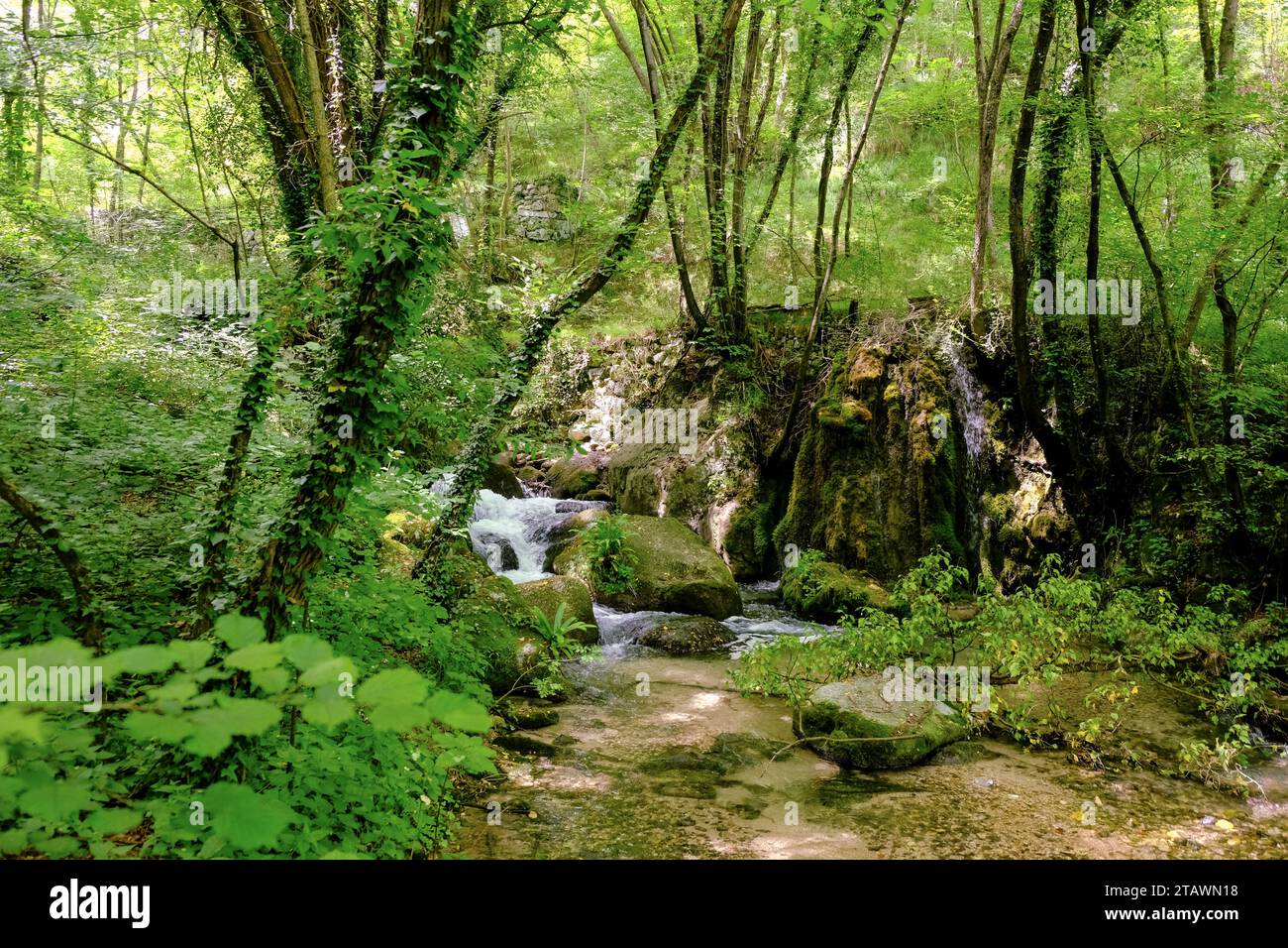 Whether sea, lake or river, water is one of the most beautiful elements ...