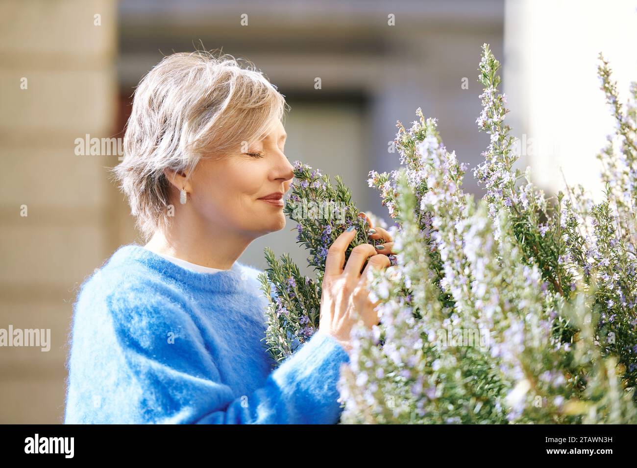 Outdoor portrait of mature woman smelling rosemary herb Stock Photo - Alamy