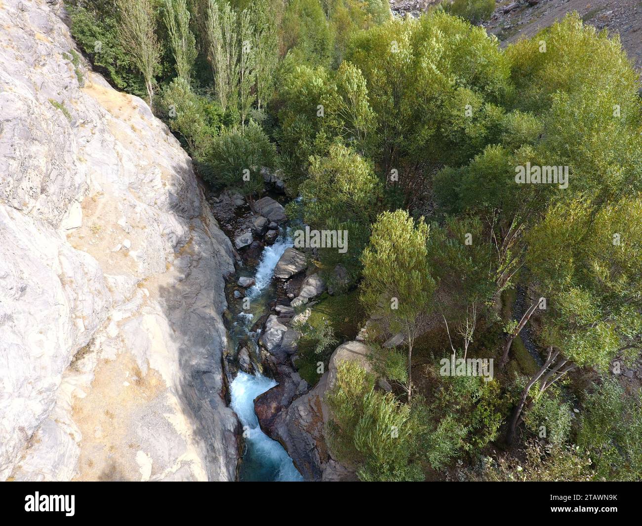A landscape featuring a lush green forest and trees in nature ...