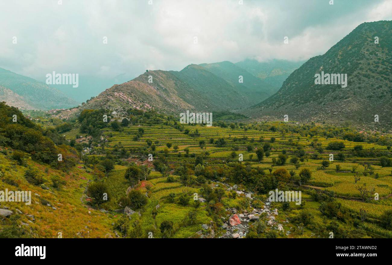 A landscape featuring a lush green forest and trees in nature ...
