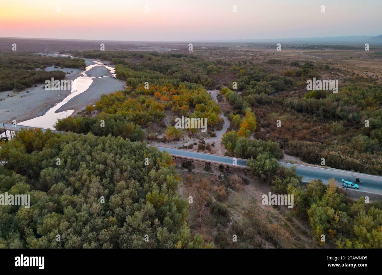 A landscape featuring a lush green forest and trees in nature ...