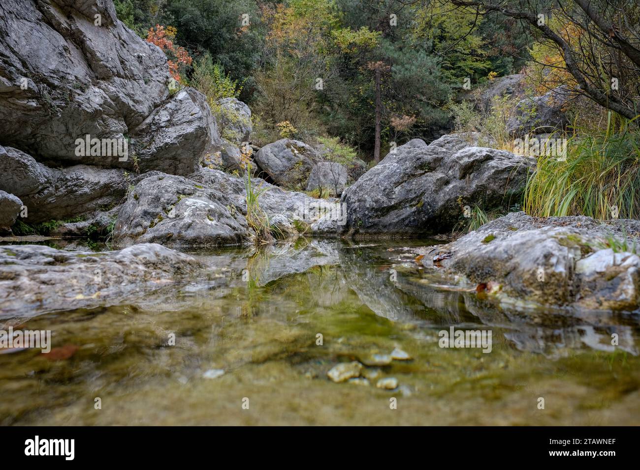 Whether sea, lake or river, water is one of the most beautiful elements ...