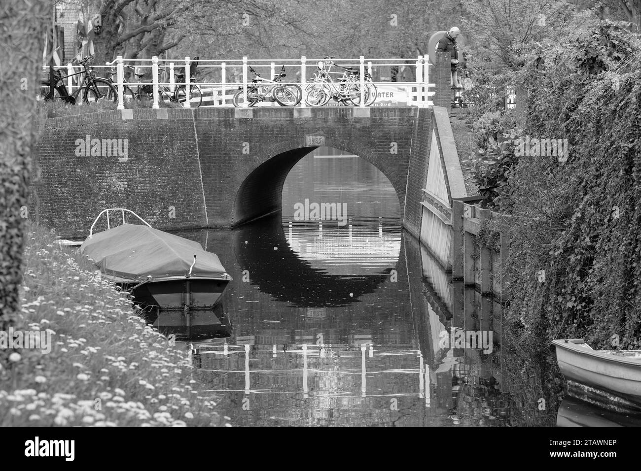 Whether sea, lake or river, water is one of the most beautiful elements ...