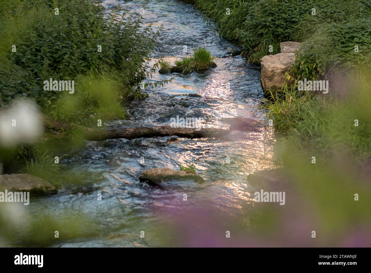 Whether sea, lake or river, water is one of the most beautiful elements ...