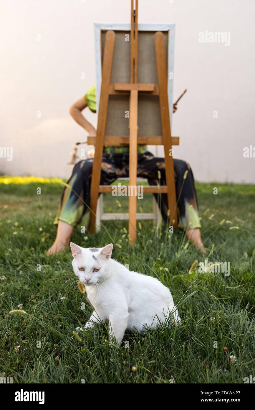 Cat sitting in front of a painter in the background, outdoors Stock ...