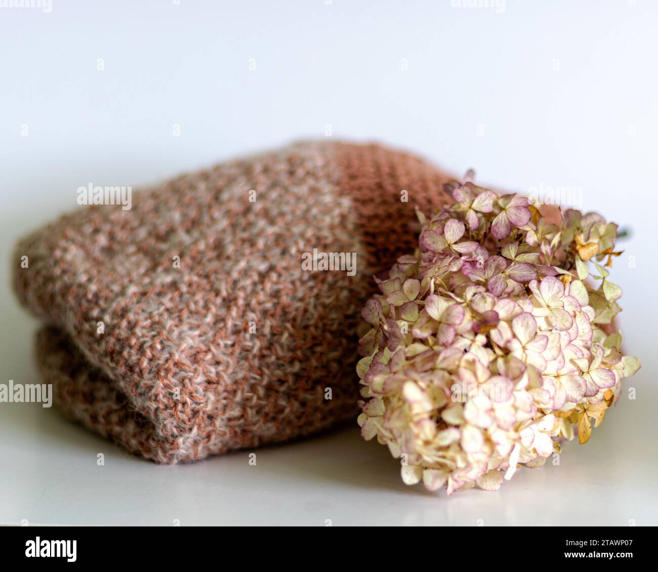 knitted work on a white background, knitted texture, needlework, home ...