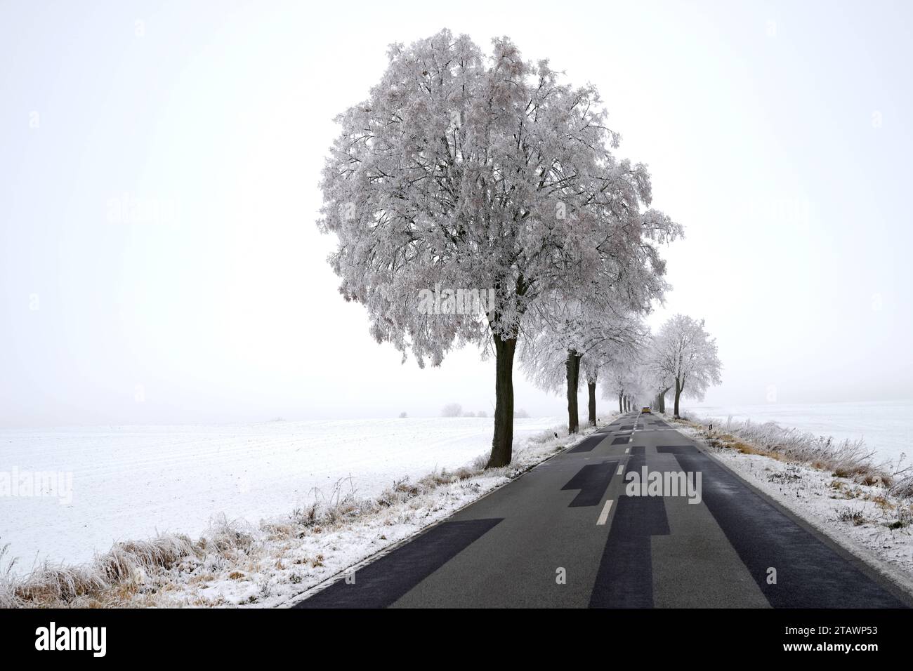 Uckermark GER, Deutschland, 20231202, Einsame Uckermark, Landstrasse im ...